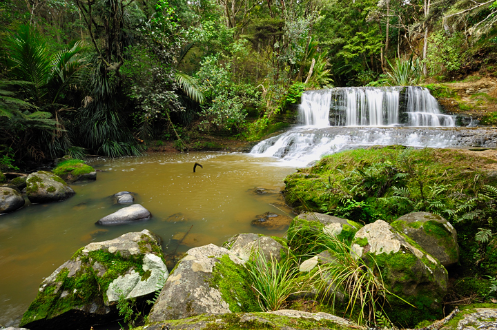 Photo Gallery/New Zealand/Waterfalls/Omeru Reserve